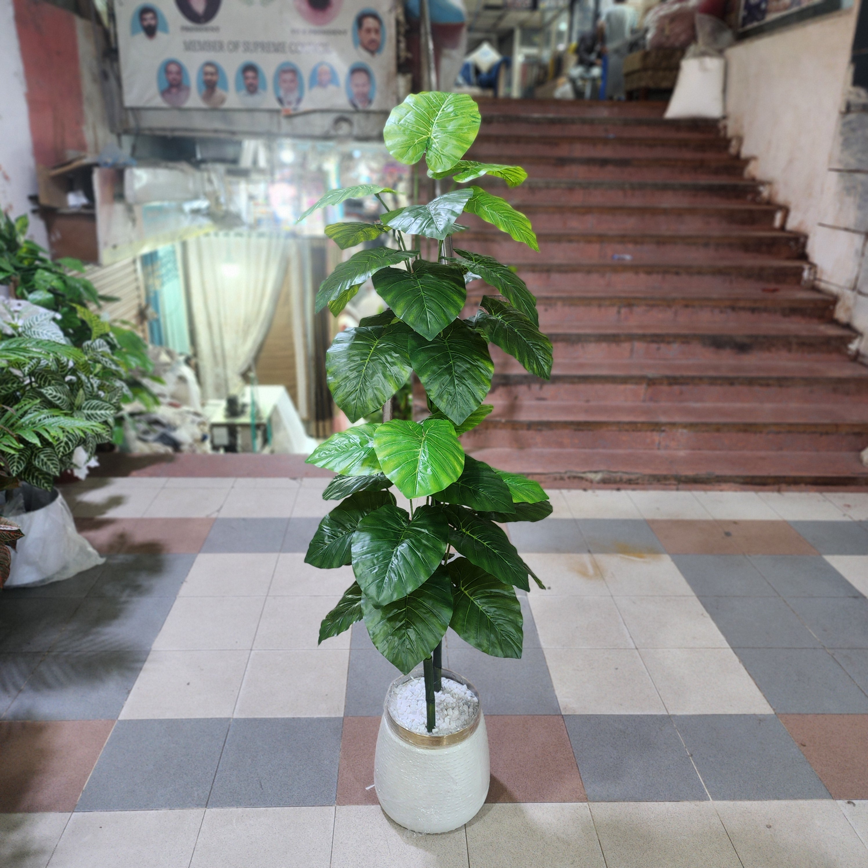Plain Leaf Plant with Golden Neck Pot – Raj Flowers